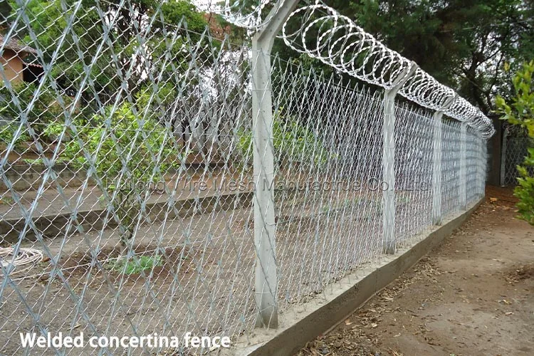 Spiral Blade Thorn Rope And Razor Barbed Wire For Isolating And ...