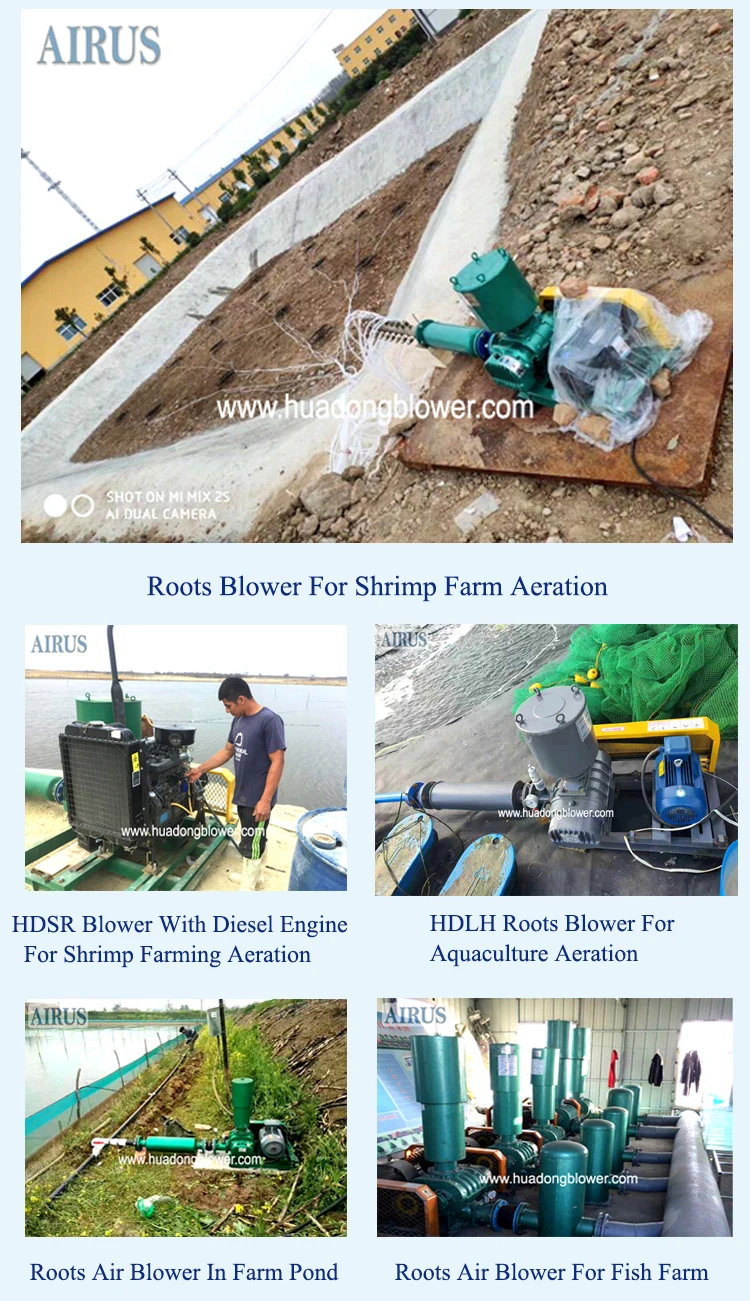 Aquaculture Three Lobes Roots Blower Fish Farming /shrimp Farming 1-10 ...