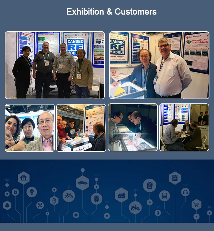 Cansec Lrw32bh Ha Ua C St Stm32wle Lora Module 868mhz 915mhz