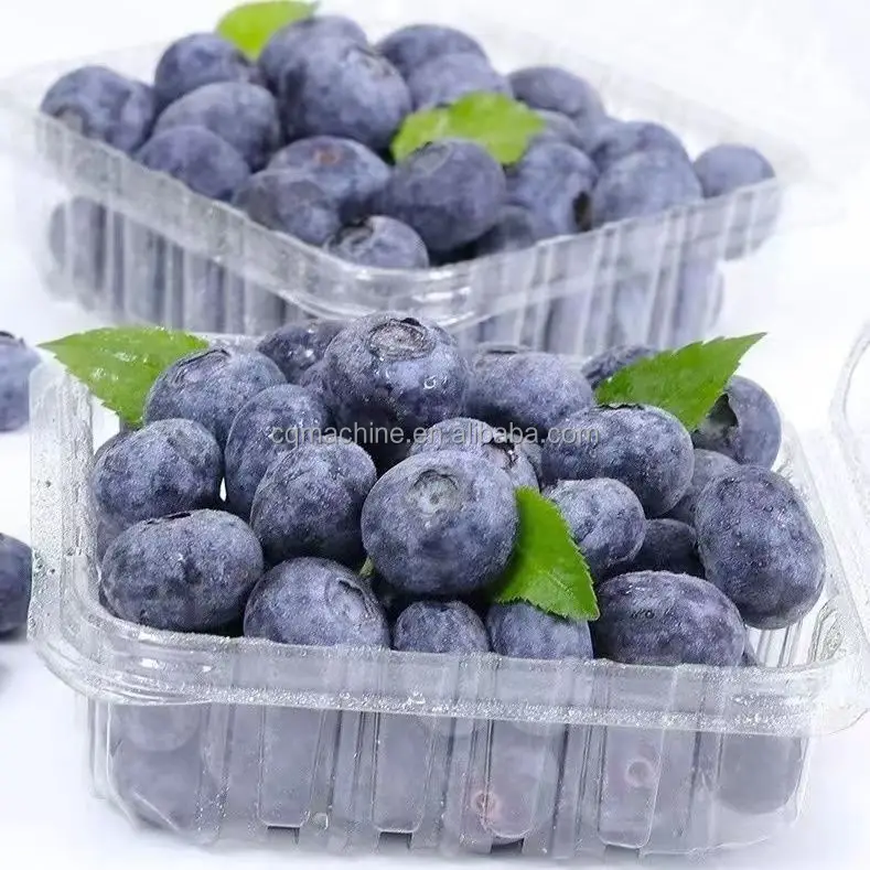 Lychee Weigh And Fill Machine Smart Automatic Blueberry Packaging Scale ...