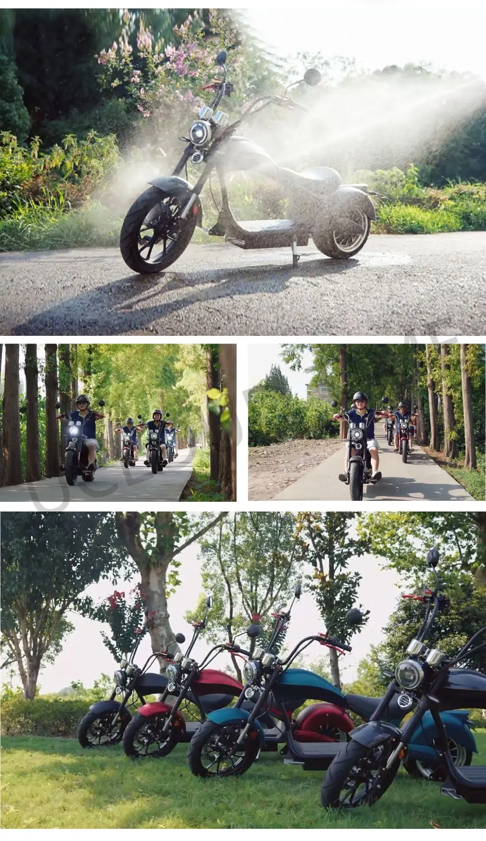 2024 Chopper E Chopper Electric Scooter 2000w 3000w Citycoco Powerful ...