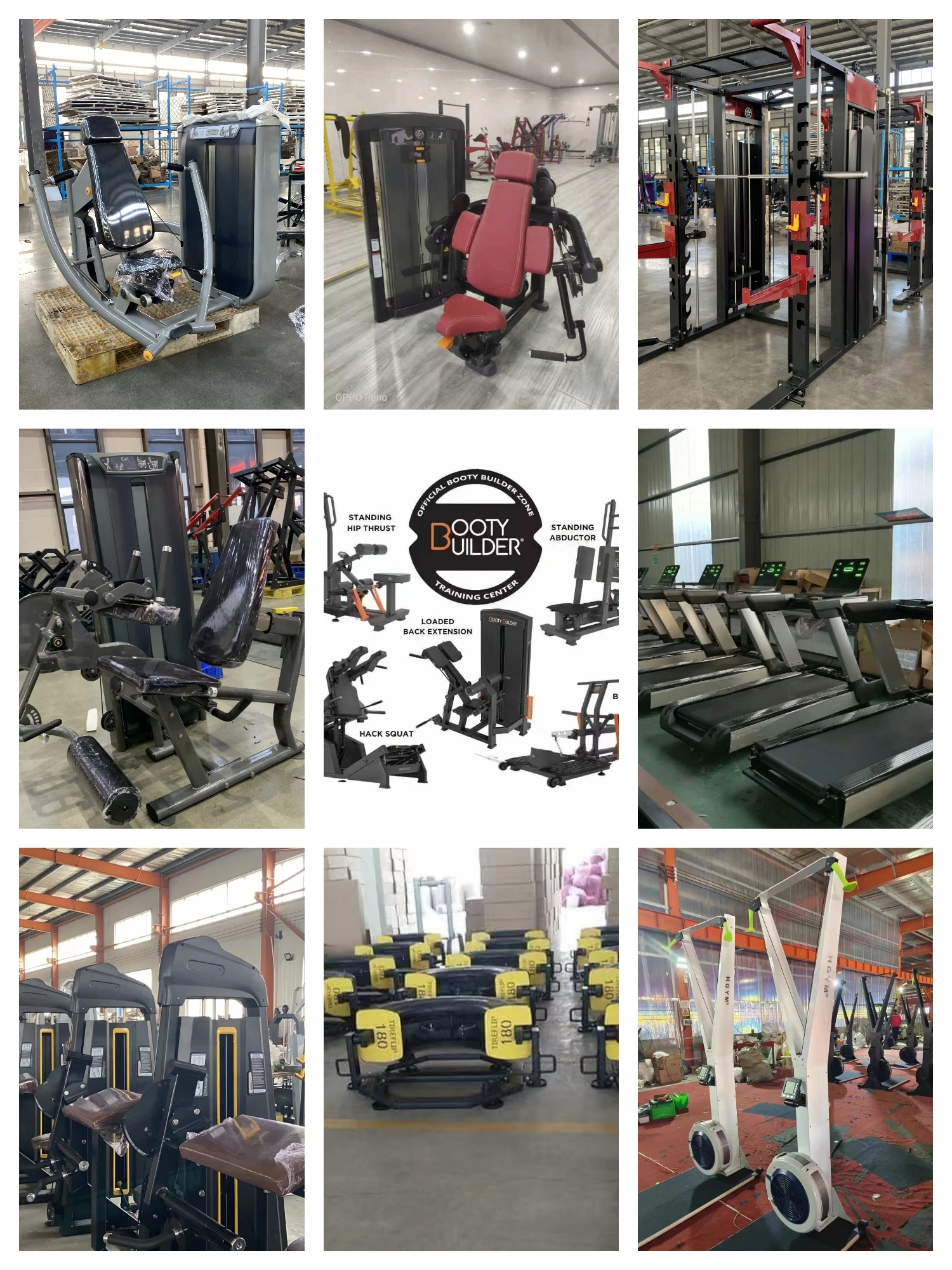 Commercial Seated Biceps Curl Triceps Extension Gym Equipment Biceps ...