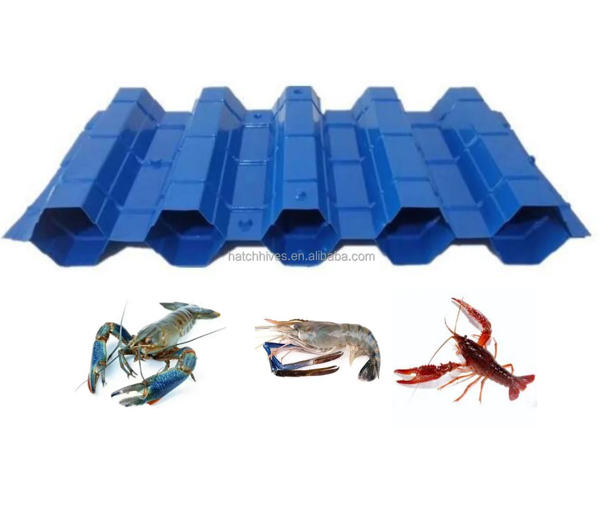 High Quality Industrial Indoor Tilapia Fish Farm Equipment Ras ...