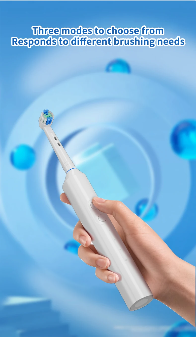 Wholesale Oem Sonic Round Head Electric Toothbrush with 2 Brush Heads ...