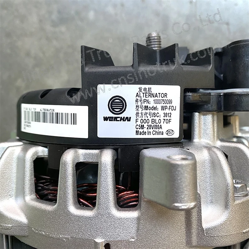 Sinotruck Alternator 1000750099 - Original Heavy-Duty Part