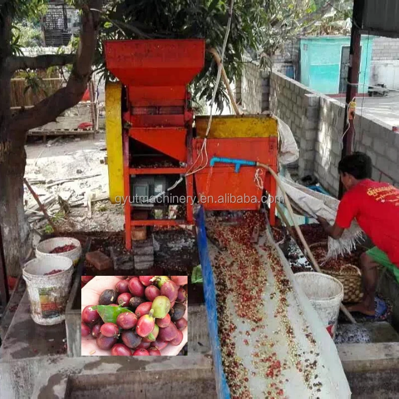 Efficient Coffee Hulling Machine - Mini Cherry Pulp Machine