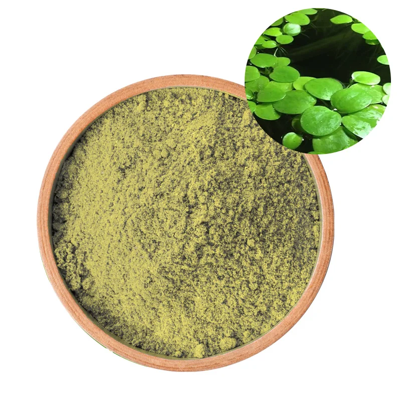 Pure Natural Duckweed Extract Lemna Minor L. Powder| Alibaba.com