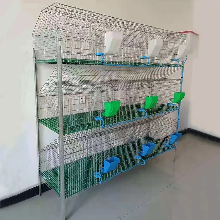 Rabbit Farm Galvanized Wire Mesh Cages - Durable & Affordable