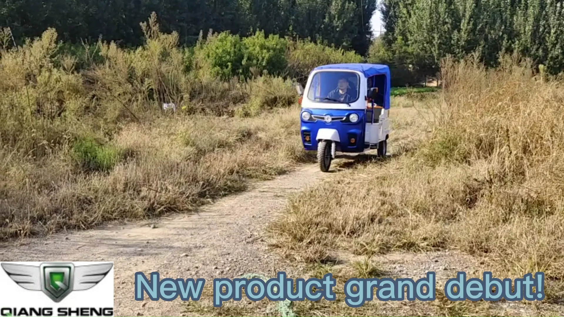 China Bajaj Auto Rickshaw Price/tuk Tuk Bajaj India For Sale/adult ...