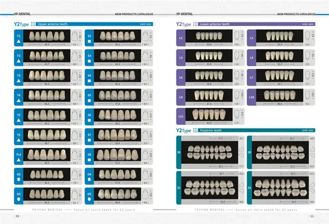 Feiying Acrylic Teeth - Perfect for Flexible Denture Making