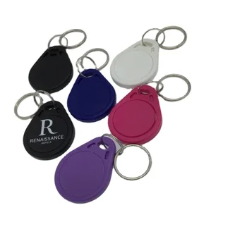Custom Rfid Plastic T5577 Key Fob Rfid Key Keychain For Hotel - Buy ...