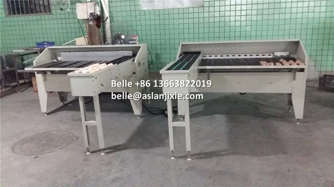 Multifunctional Egg Processing Equipment Egg Grading Machine Duck Egg Sorting Classifier Machine ...