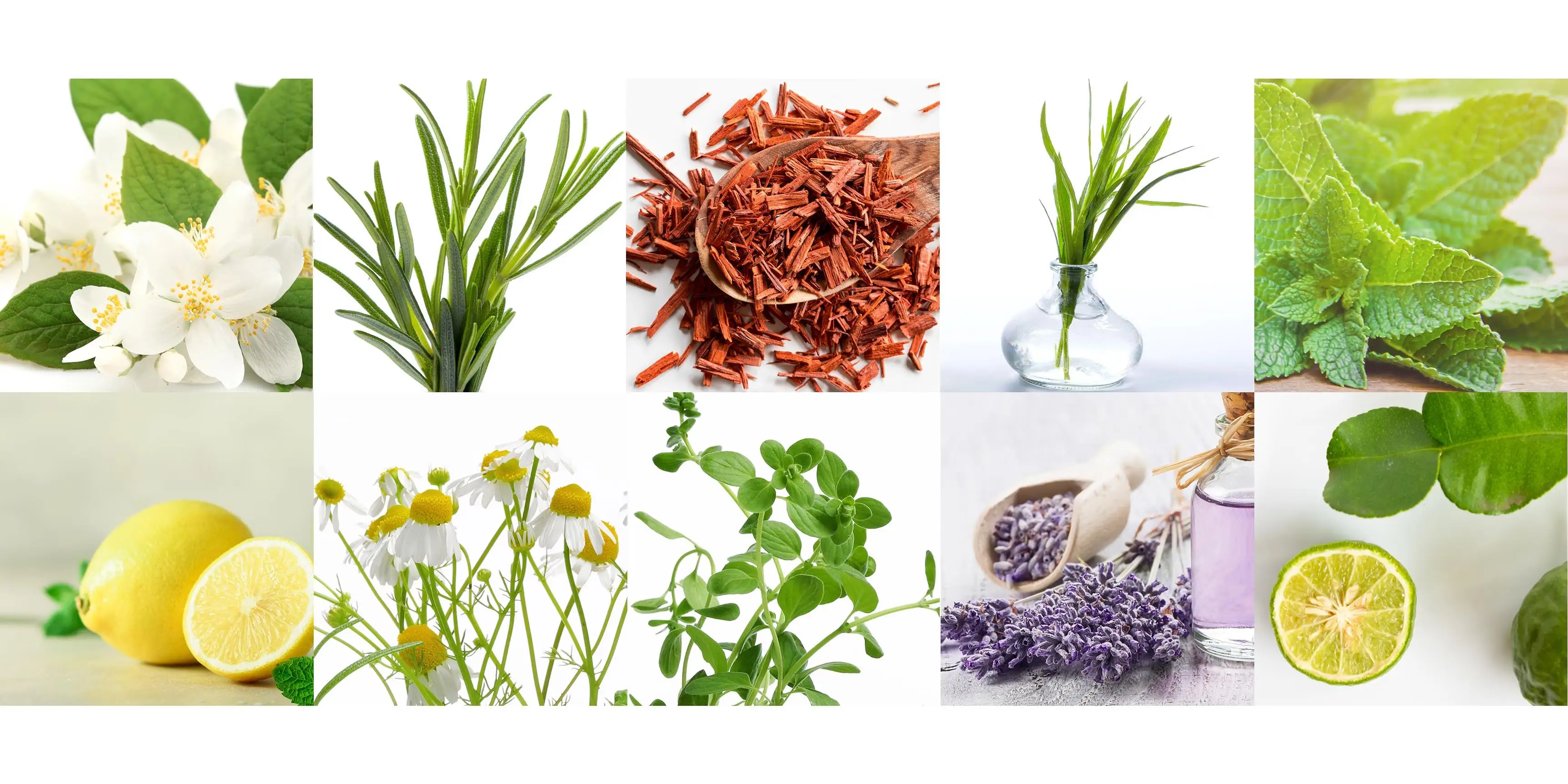 Lemongrass Oil Extraction Plant Essential Oil Extraction Equipment Rose ...