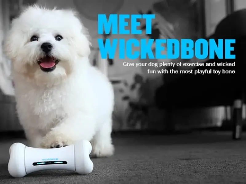 Are Smart Bones Good For Dogs