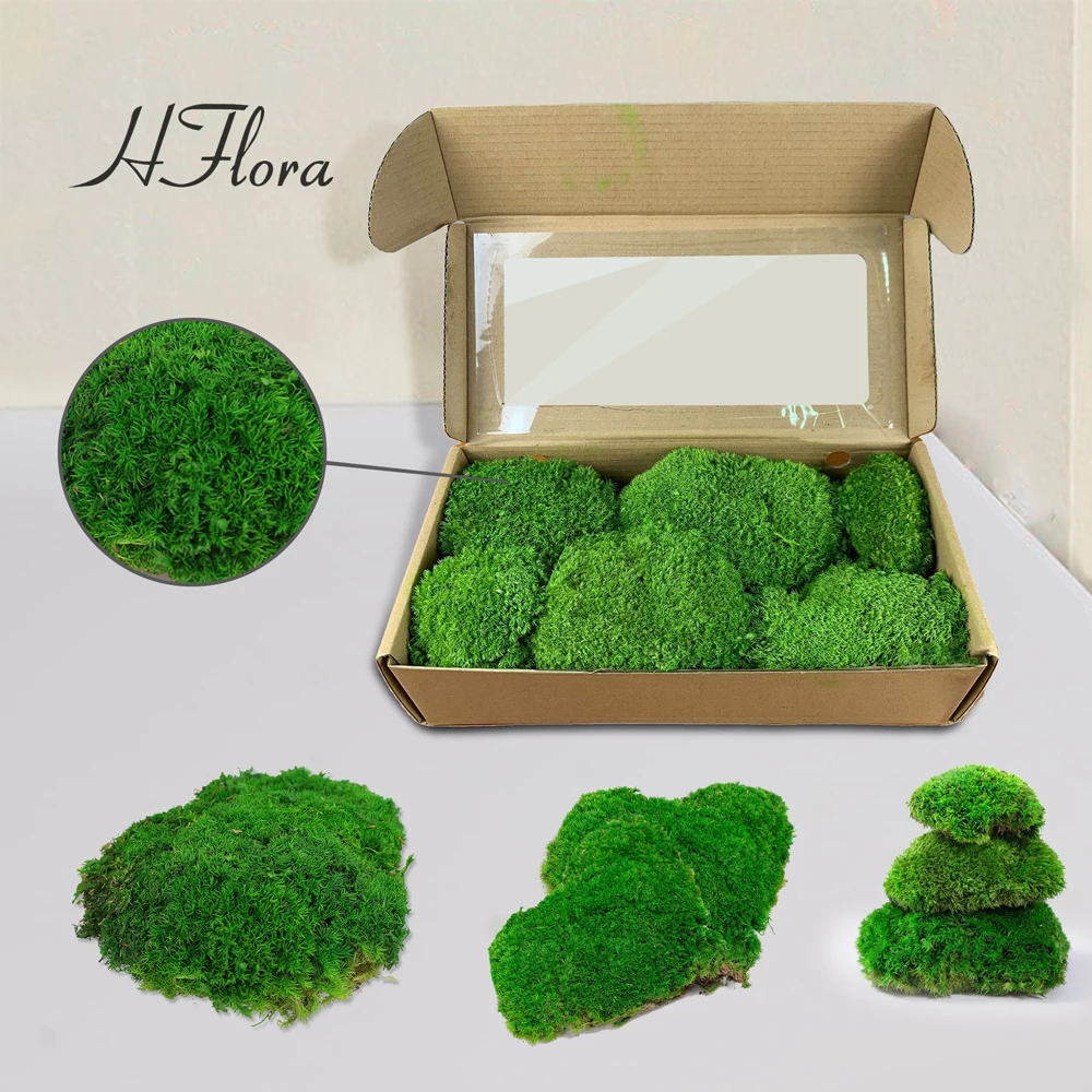 Preserved Natural Decorative Moss for Designing Wall Panels