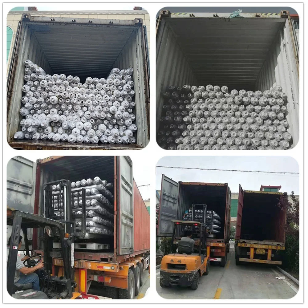 200 Micron Black Clear Poly Film for Builder Construction