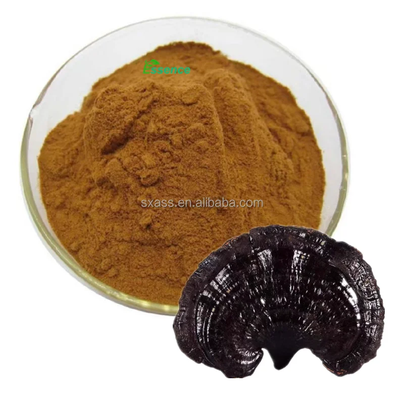 Natural Black Ganoderma Lucidum Extract 20% 40% Polysaccharides Powder ...