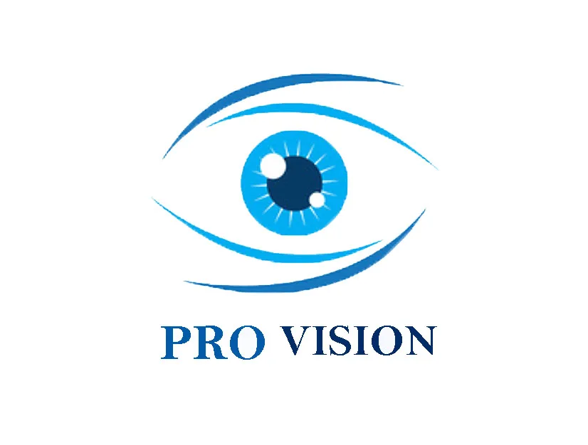 Company Overview - Shenzhen Provision Co., Ltd.