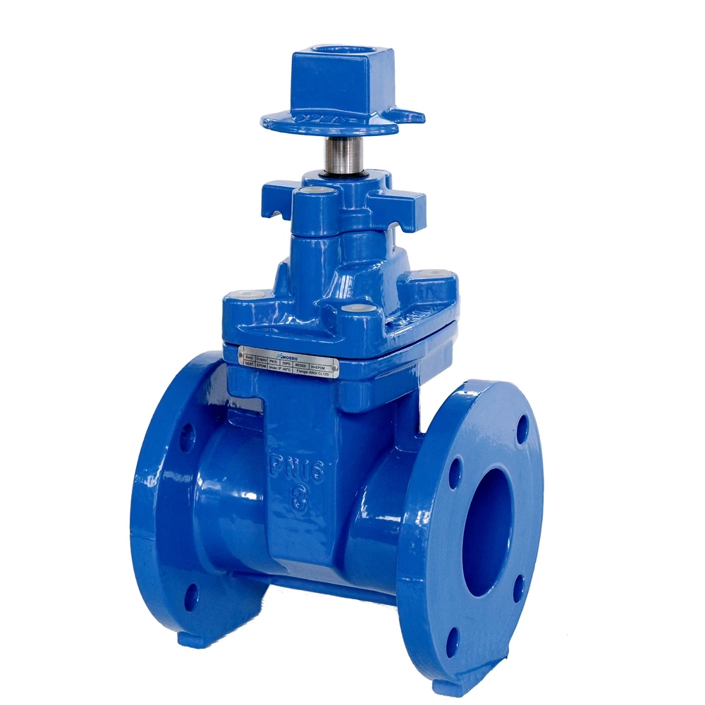 2-24 Inch Flanged Ductile Iron Manual Gate Valve - 200PSI