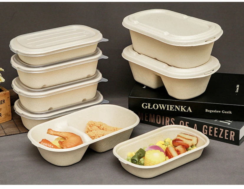 Food Containers Made Of Sugarcane Bagasse Pulp Lunch Food Box Eco ...