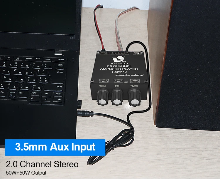 Dual Channel Mini 100W+100W Class D Digital Power AMP Module