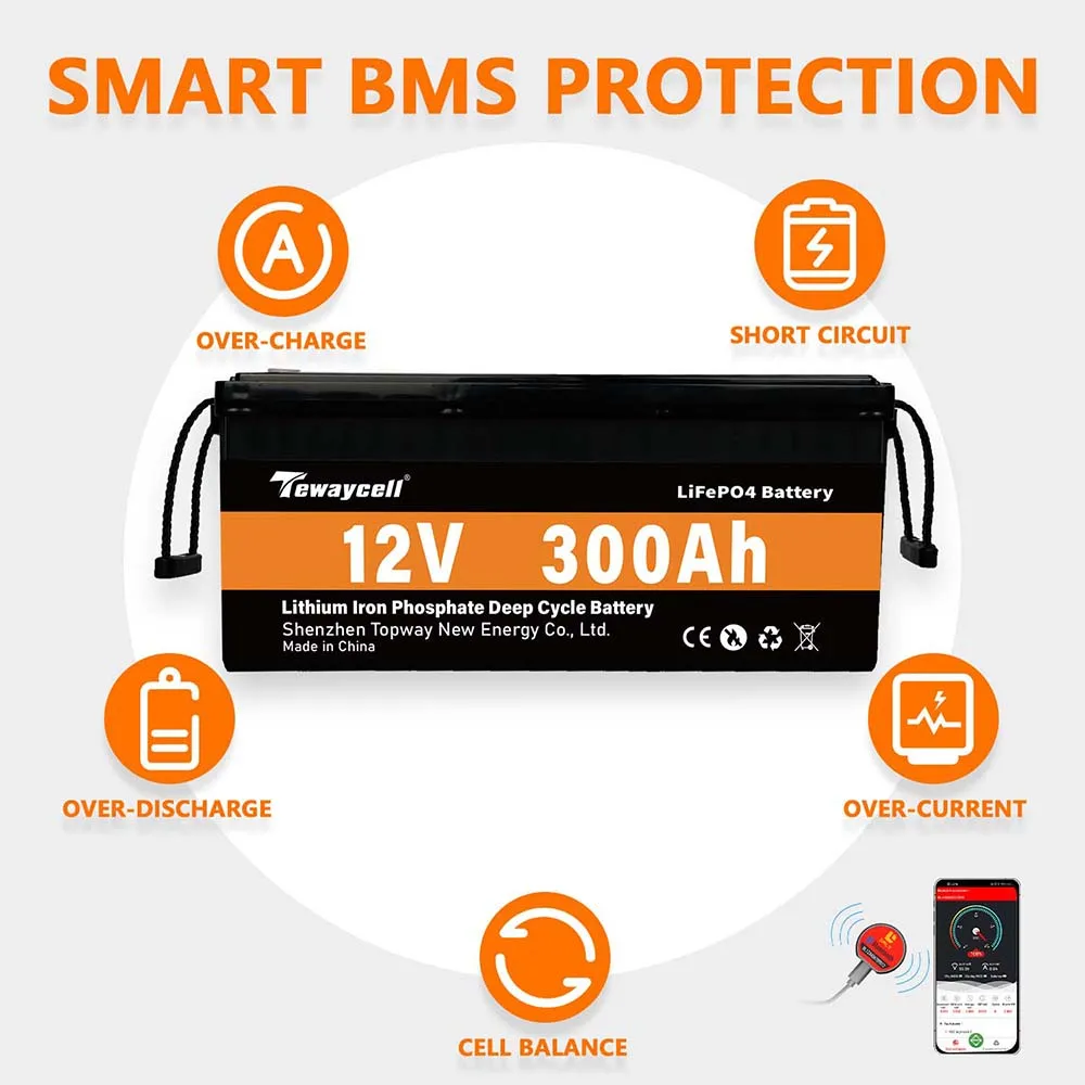 OEM&ODM 12v 24V 100AH 200AH 300ah Lifepo4 Battery Pack with Smart BMS ...