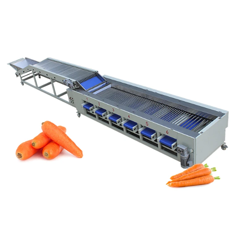 Cucumber Carrot Sorting Machine Carrots Grading Machine| Alibaba.com