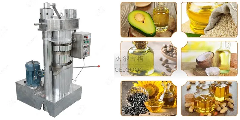 Extracting Olive Oil Machine - Efficient & Durable Solutions