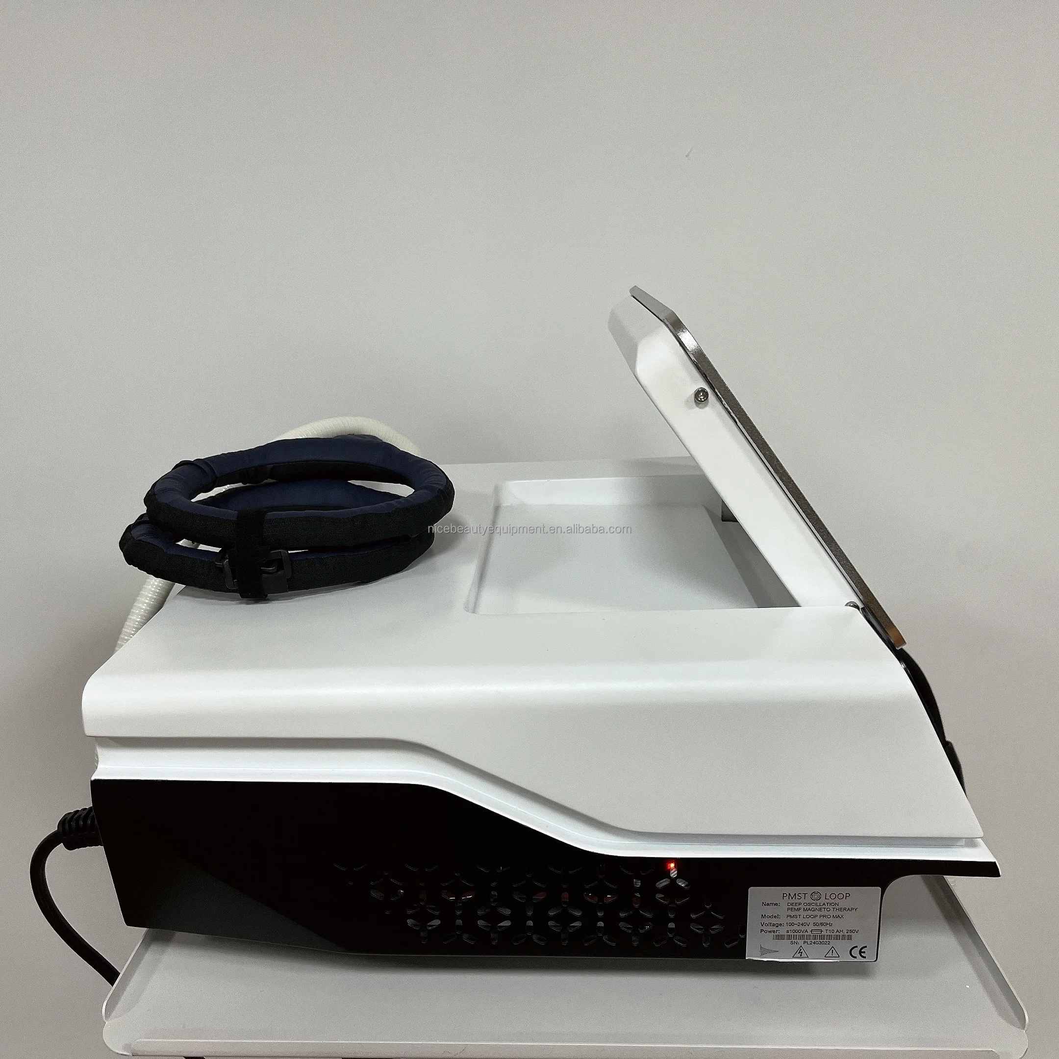 PEMF Human and Horses Pulsed Electromagnetic Field PMST LOOP PRO MAX ...