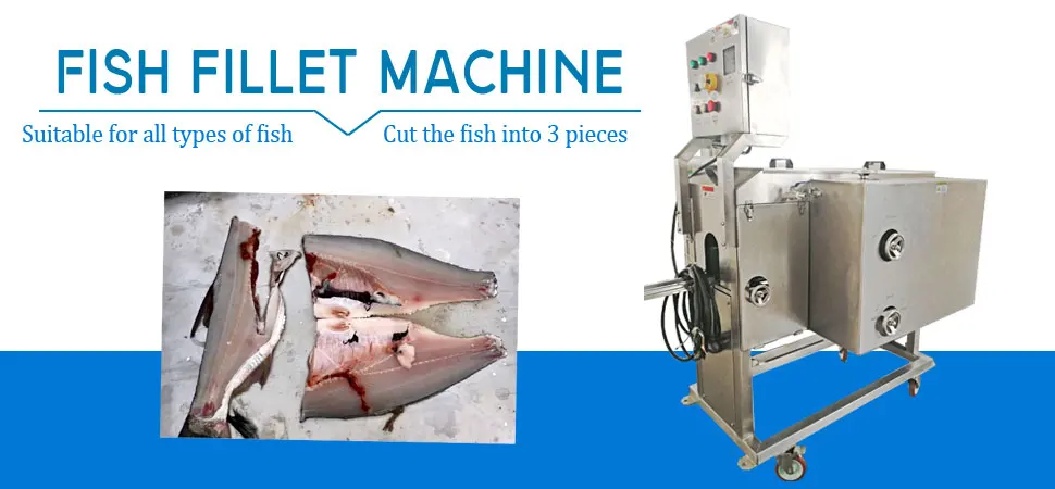 Efficient Fish Fillet Machine - Welly Automatic Perch Fillet Line