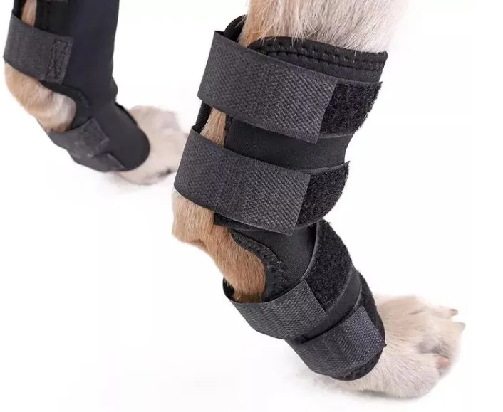Customized High Quality Canine Back Leg Compression Dog Brace Wrap Dog ...