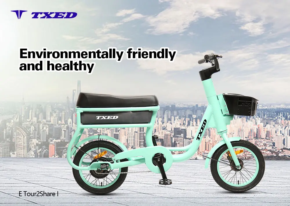 TXED 500W LCD Panel Electric Sharing E-Bike - Comfort & Power