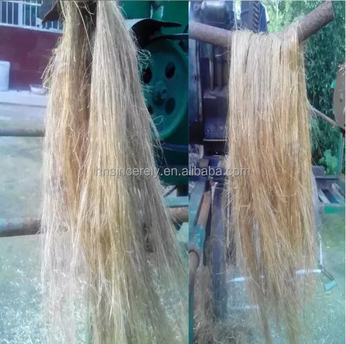 Fresh Sisal Jute Abaca Peeling Stripping Machine Plant Fiber Hemp ...