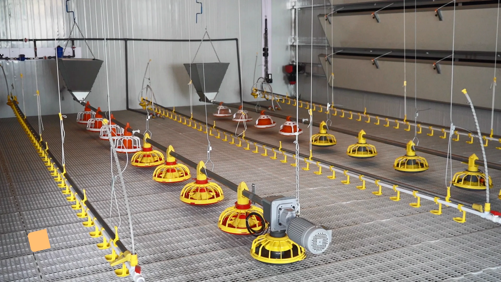 Advanced Design Complete Automatic Broiler Chicken Water Drinker ...