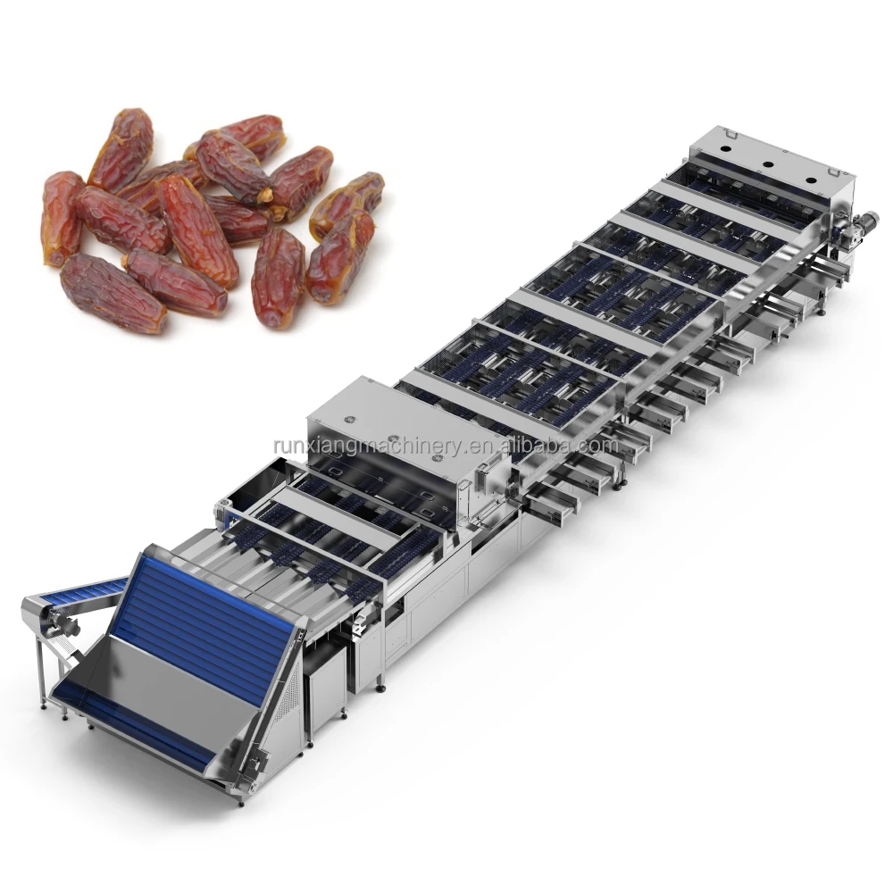 High Output Industrial Size Sorting Machine Palm Dates Jujube Date ...