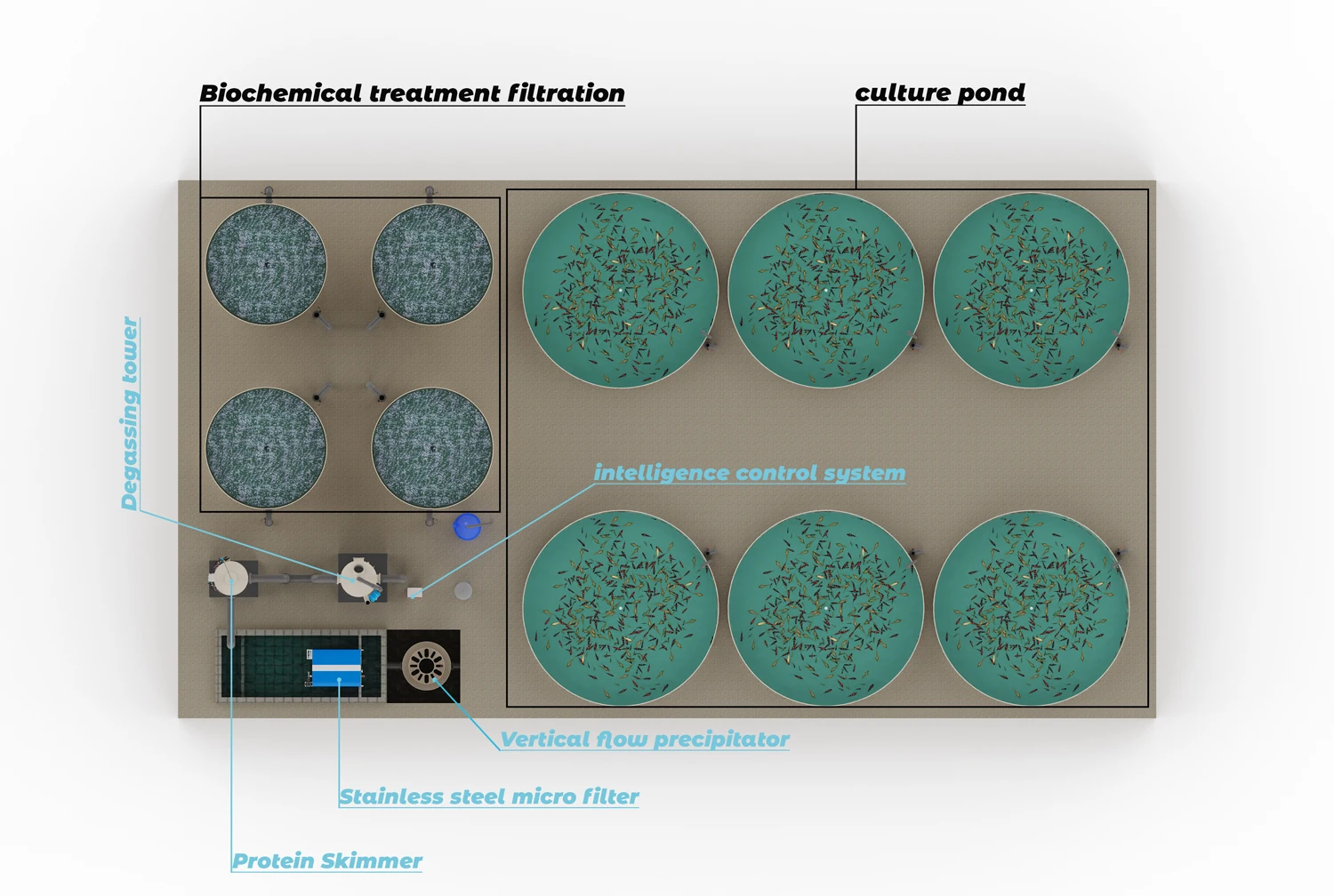 Recirculating Aquaculture System (RAS) for Sustainable Fish Farming