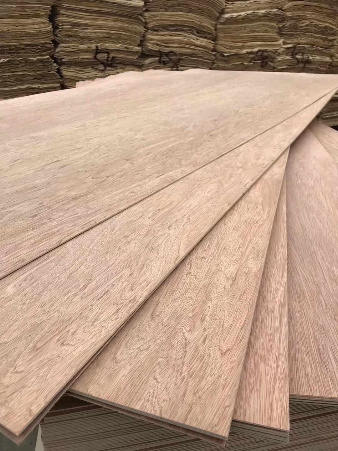 Triplay Caobilla 1220x2440 18mm - Okoume Veneer Plywood