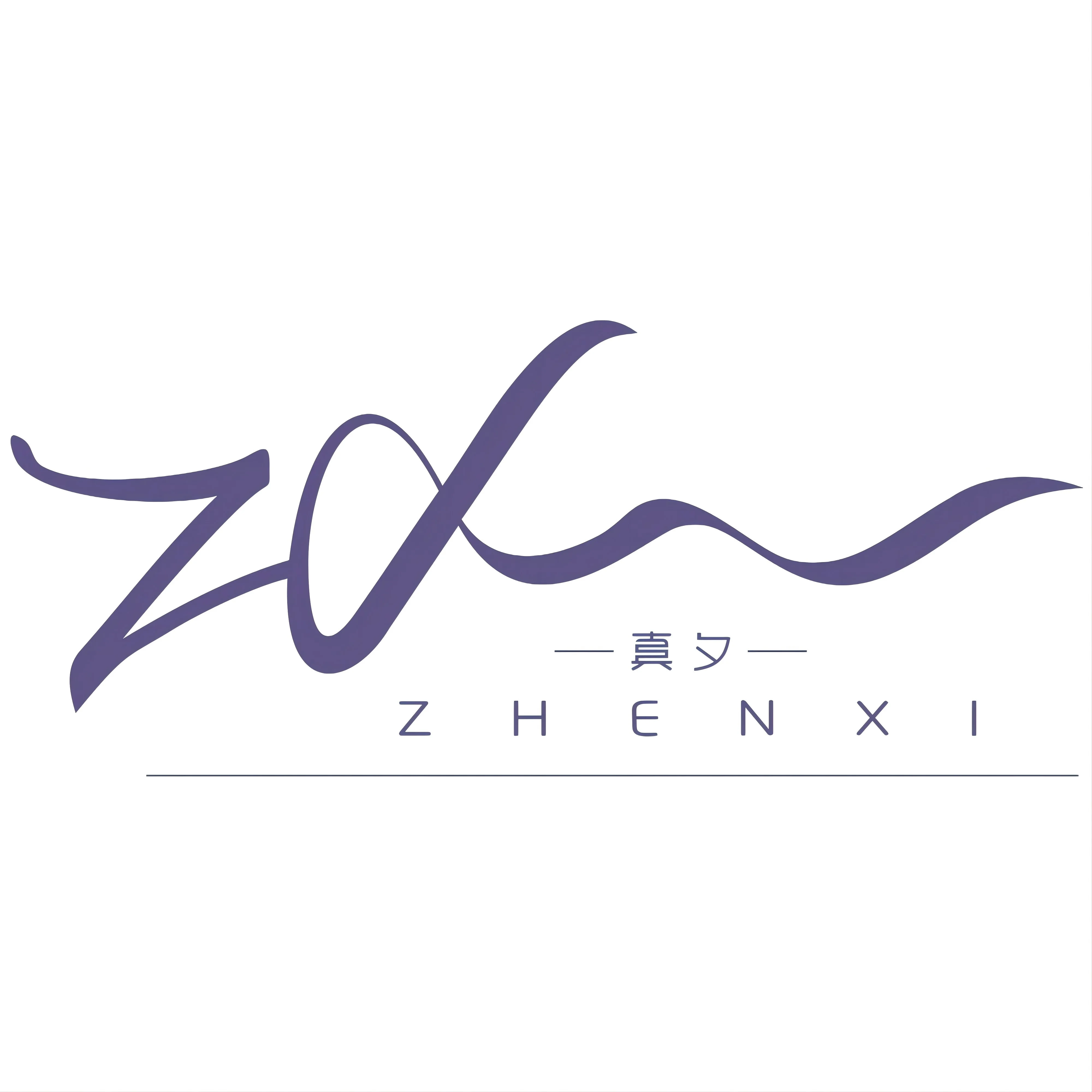 Company Overview - Dongguan City Zhenxuan Zhenxi Knitting Clothing Co ...