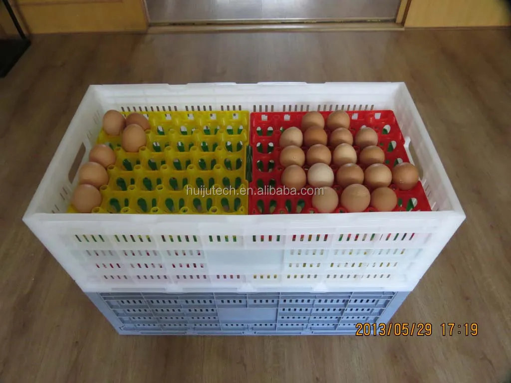 Foldable Plastic Egg Transport Crate - Durable & Versatile