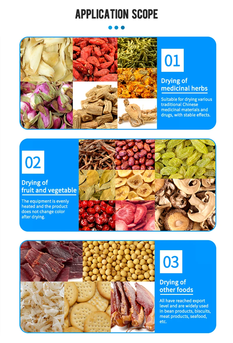 Automatic Dried Fruit & Vegetable Production Line - Dehydrator for ...