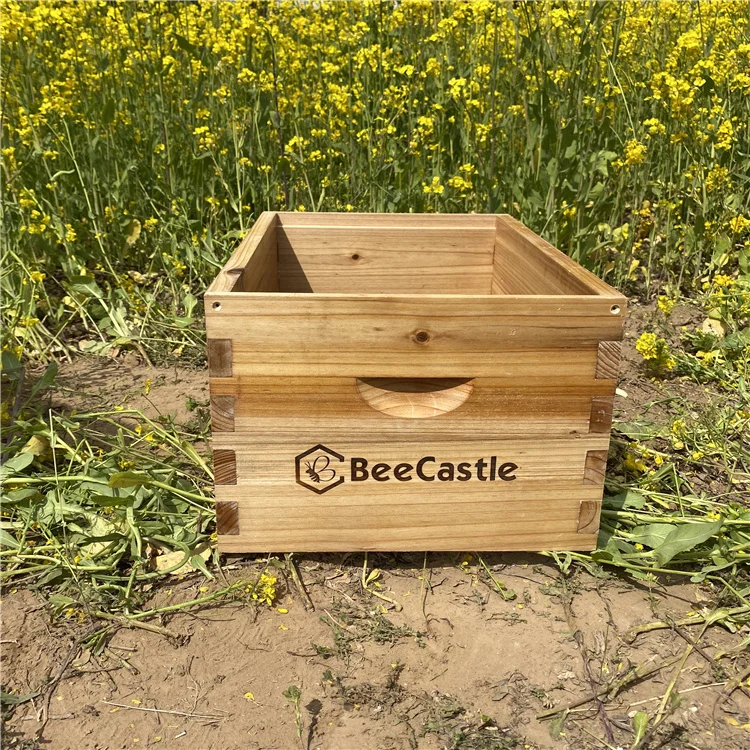 Wholesale Langstroth Bee Hive Boxes - Durable & Efficient