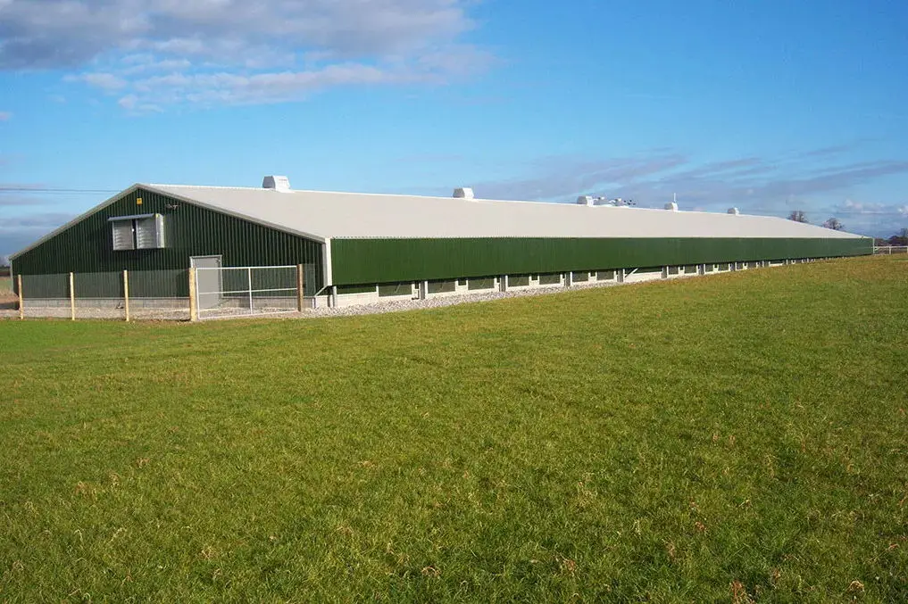 Commercial Steel Frame Broiler Poultry Farm Shed Designs