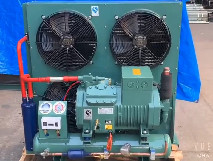 Walk In Cooler Coldroom Compressor Freezer Condensing Unit And Cold ...