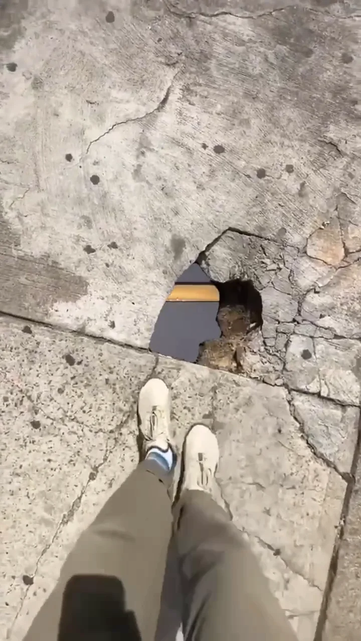 Waterproof Ip54 Aluminum Lamp Body With Pmma Lampshade Outdoor ...