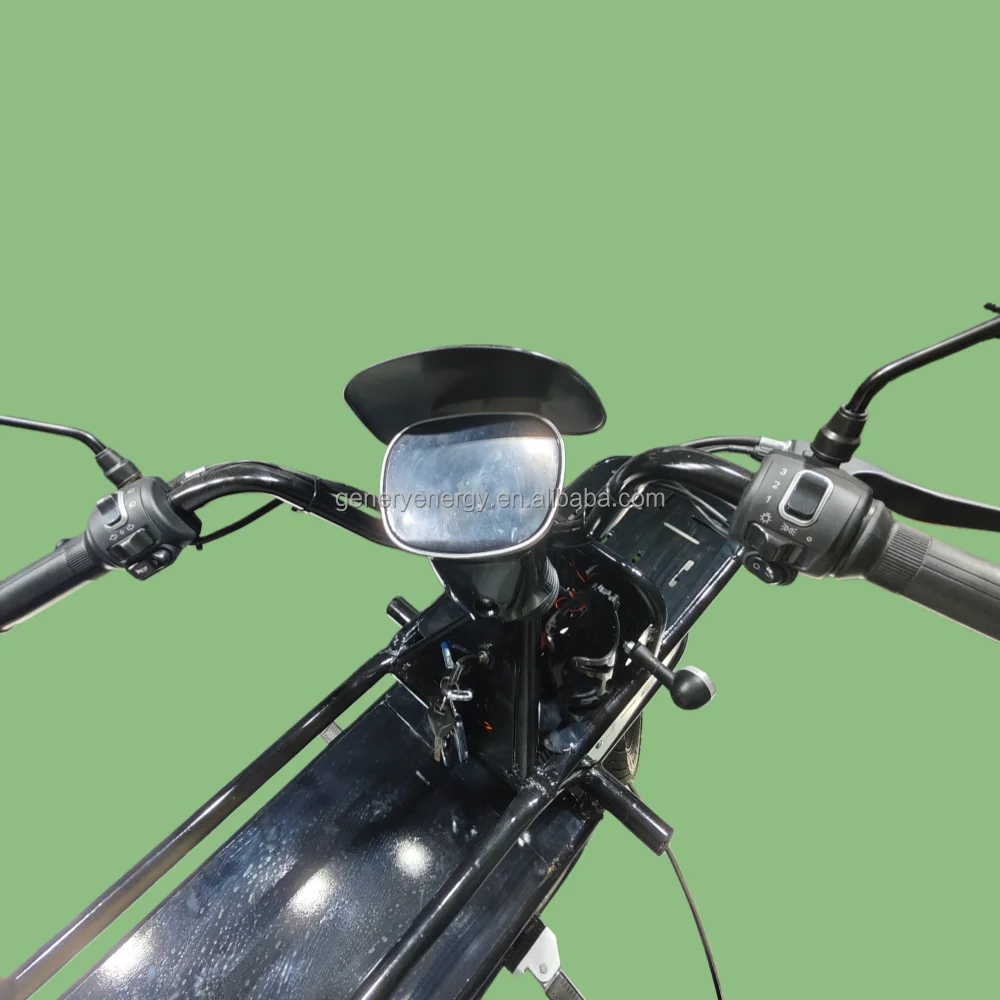 Electric Compact Size Massive Load 300kg Capacity Bike with Rear Hub ...