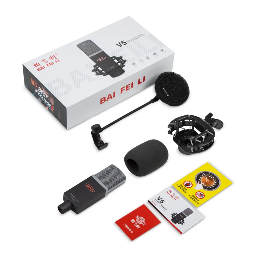 Baifeili V5 Large Diaphragm Professional Studio Recording Equipment ...