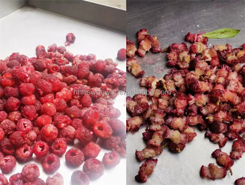 Efficient Plum Pitting Machine - Automatic Cherry Stoner