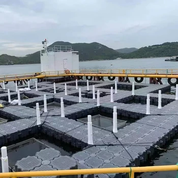Simple Installation Marine Plastic Pontoon Fish Floating Cage Floating ...