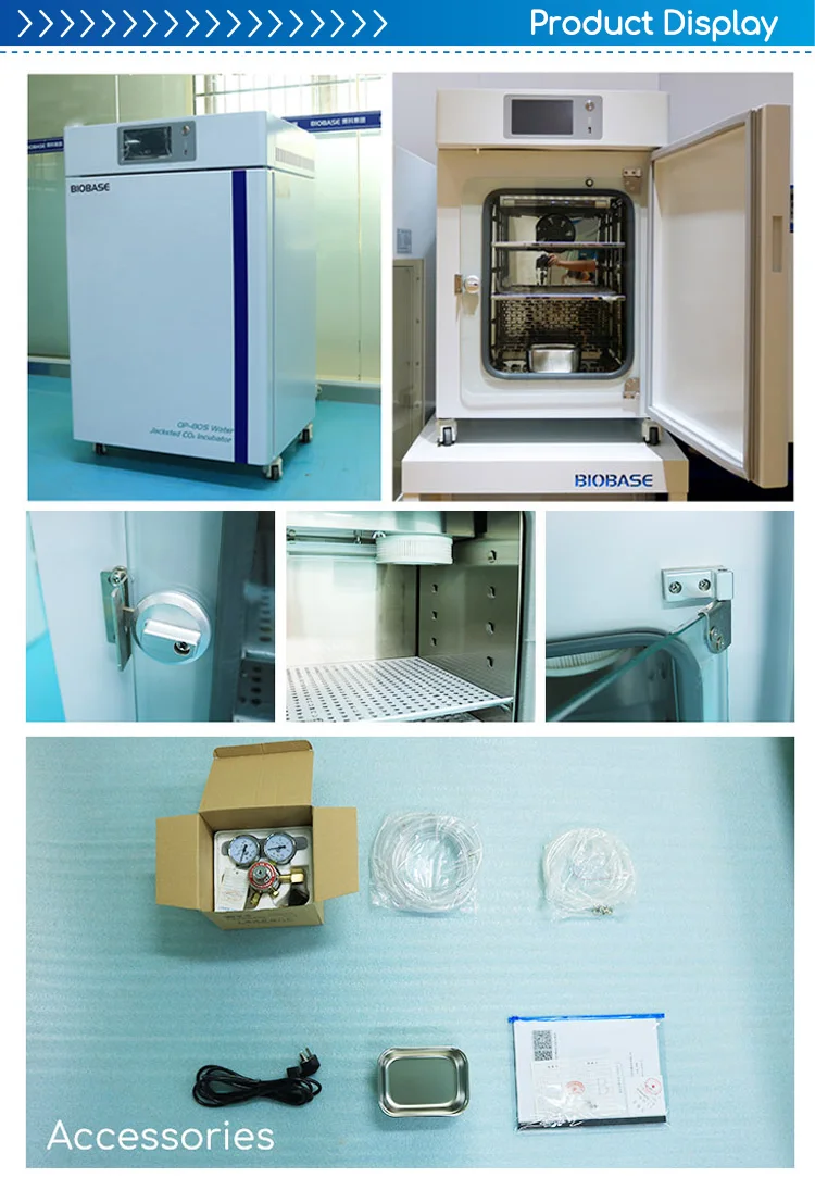 Biobase Laboratory Co2 Incubator Machine Incubator Mushroom Incubator - Buy The Incubator ...