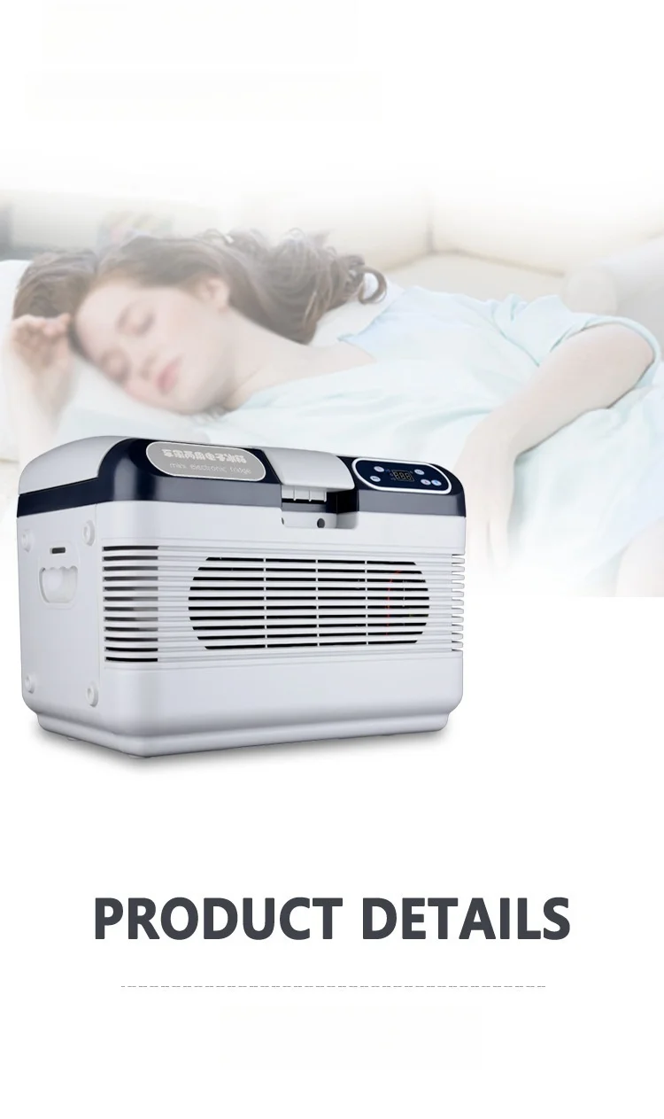 12L Dual-Core Semiconductor Mini Compact Car and Home Refrigerator ...